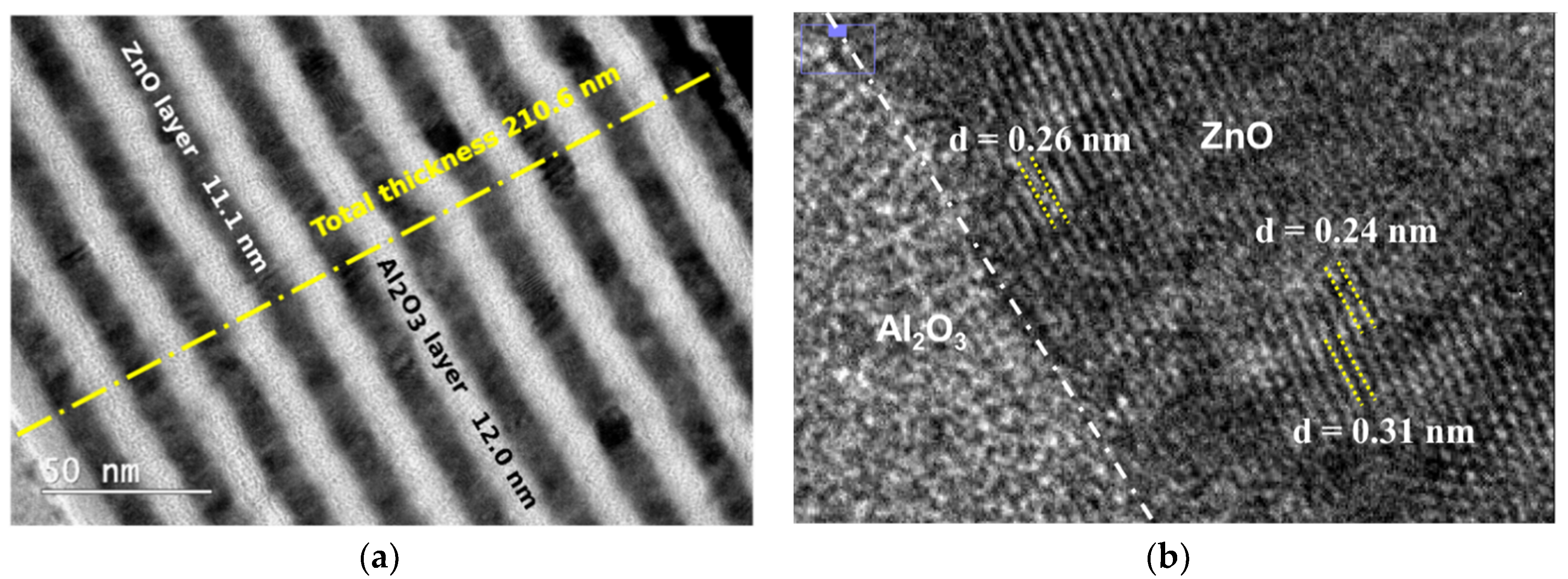 Structure and Surface Morphology Effect on the Cytotoxicity of [Al2O3 ...