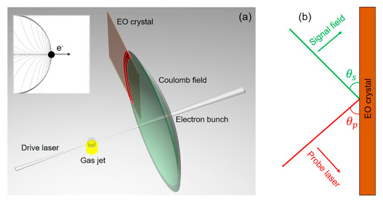 Single-Shot Electro-Optic Sampling on the Temporal Structure of Laser ...