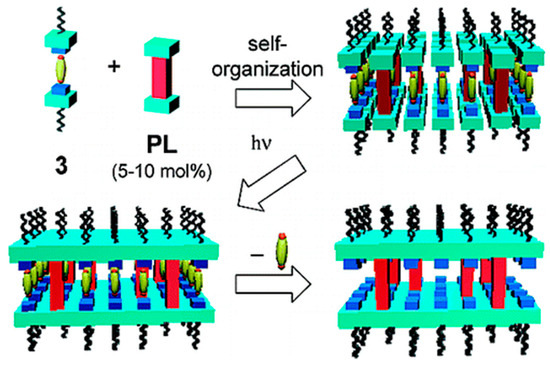 Liquid Crystals Templating