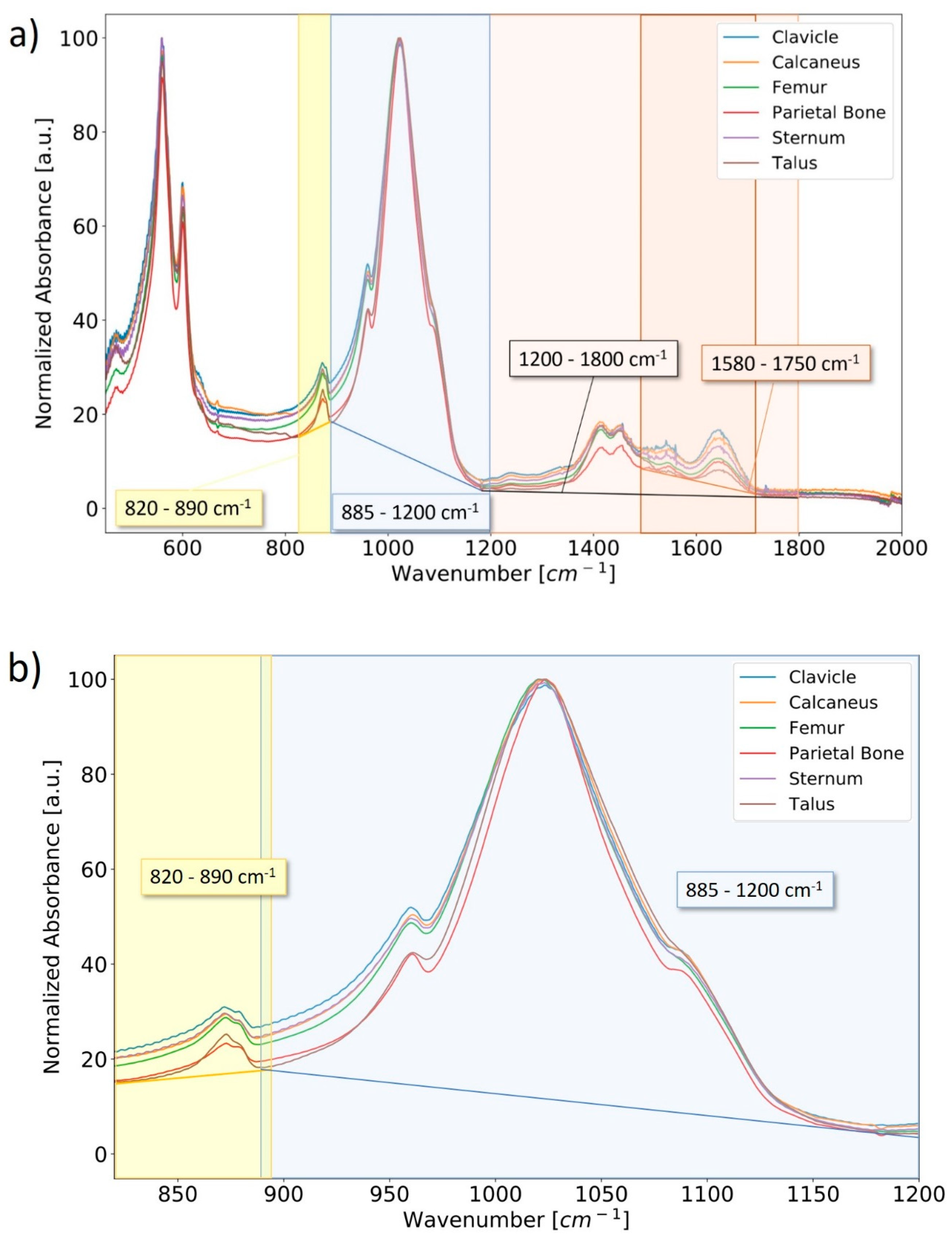 Anatomical Variation of Human Bone Bioapatite Crystallography