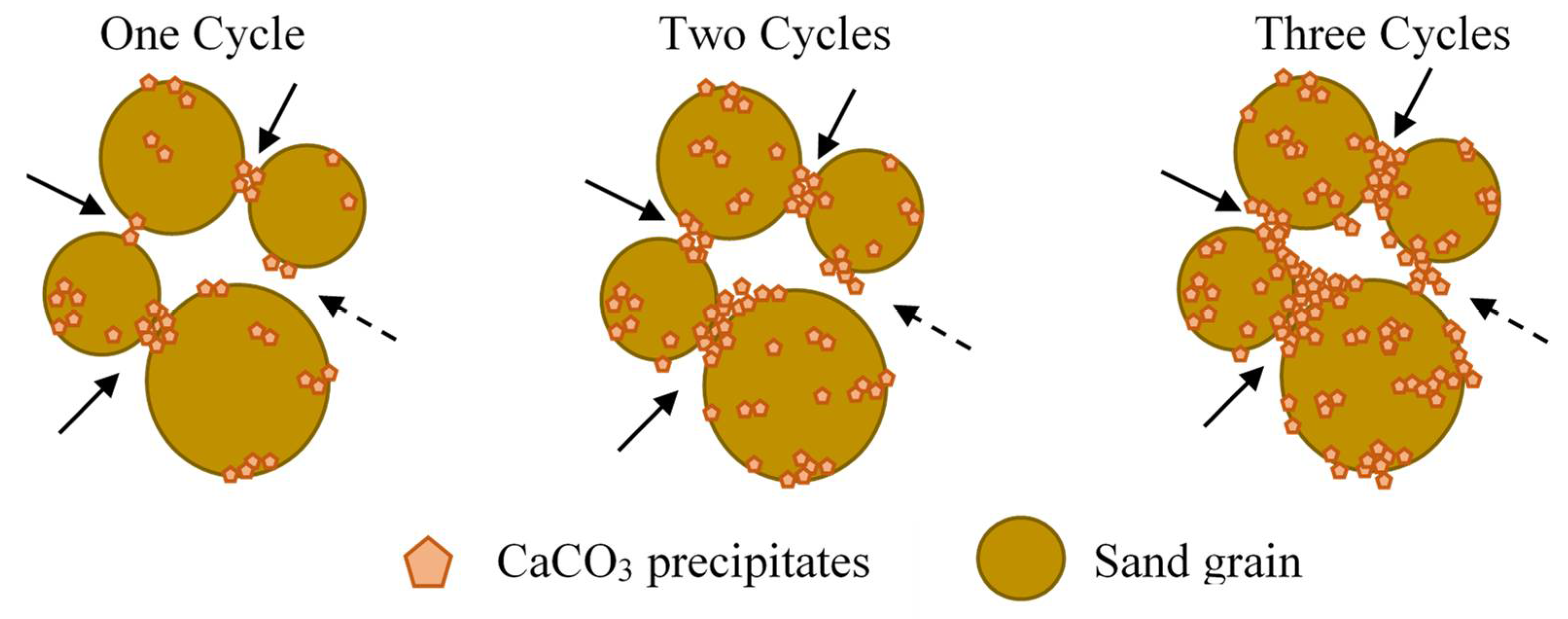 Biocementation of Calcareous Beach Sand Using Enzymatic Calcium ...