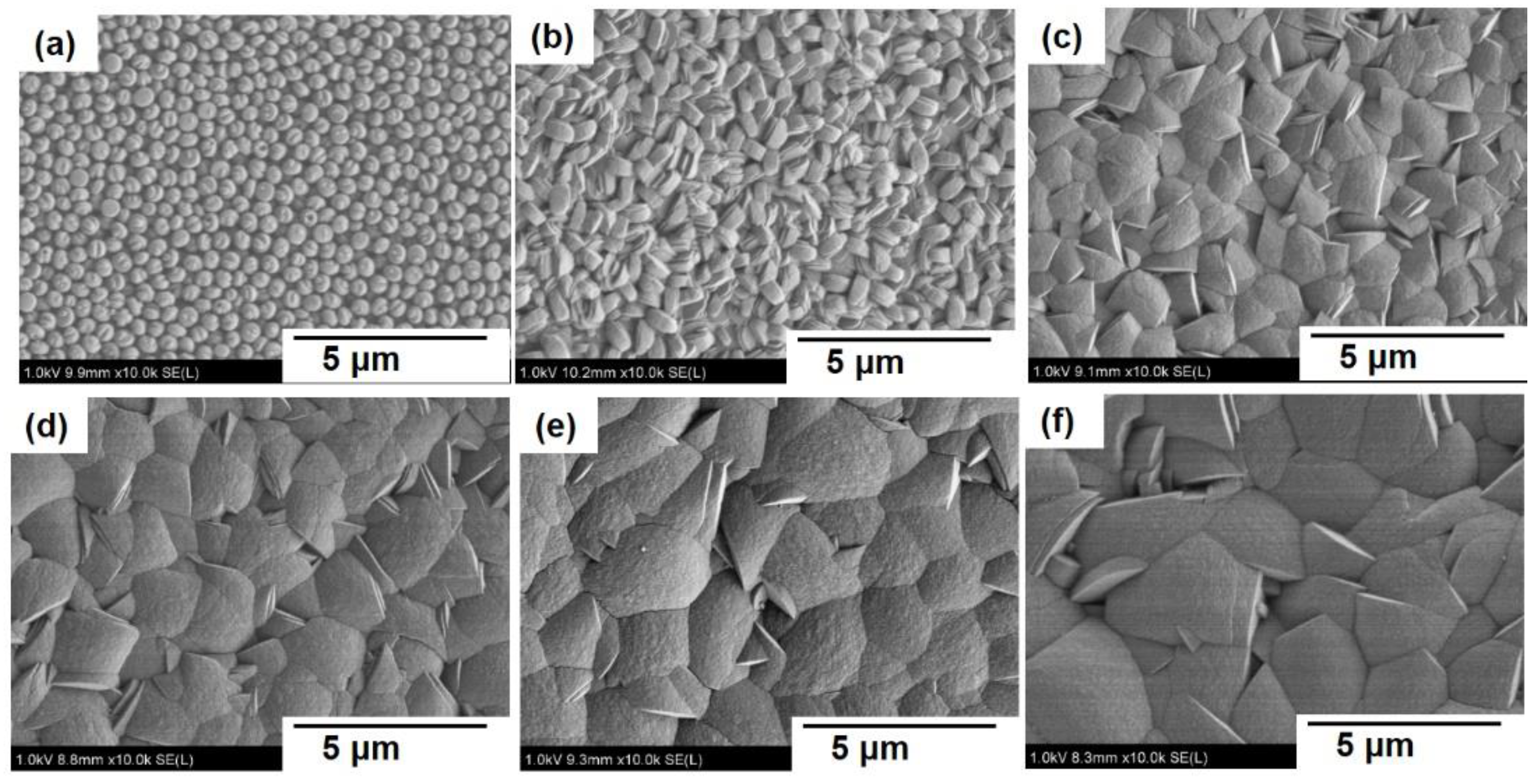 Formation Process of Columnar Grown (101)-Oriented Silicalite-1 ...