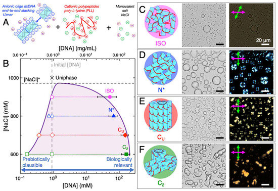 Liquid Crystal Peptide/DNA Coacervates in the Context of Prebiotic ...