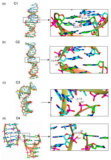 Molecular Packing Interaction in DNA Crystals