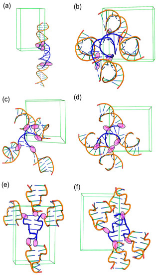 Molecular Packing Interaction in DNA Crystals