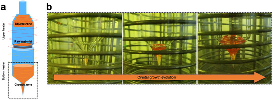 Comparative Analysis of Hg2Br2 and Hg2BrxCl2-x Crystals Grown via PVT