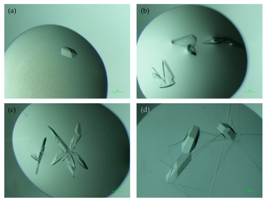 Not Cleaving the His-tag of Thal Results in More Tightly Packed and ...