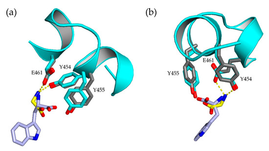 Not Cleaving the His-tag of Thal Results in More Tightly Packed and ...