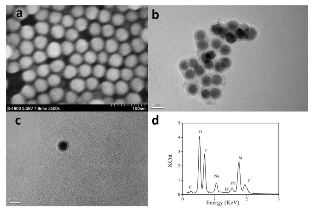 Upconversion Nanoparticles Encapsulated with Amorphous Silica and Their ...