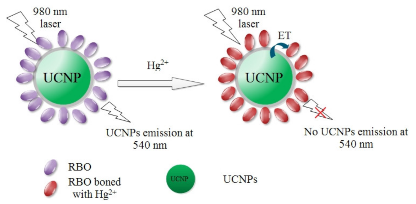 Upconversion Nanoparticles Encapsulated with Amorphous Silica and Their ...