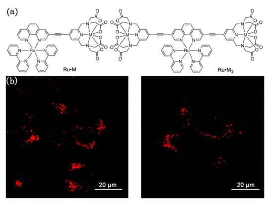 Recent Advances of Near-Infrared (NIR) Emissive Metal Complexes Bridged ...