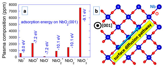 Theoretical and Experimental Aspects of Current and Future Research on ...
