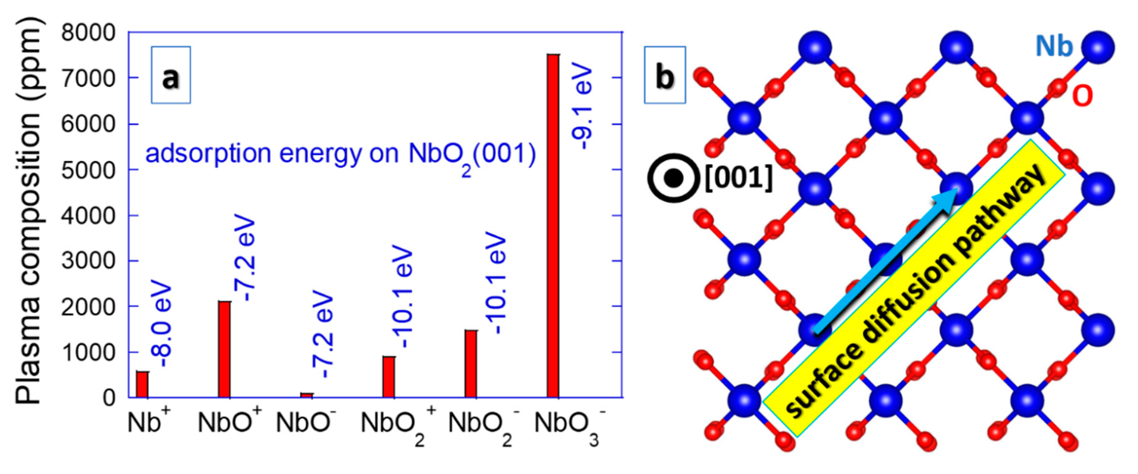 Theoretical and Experimental Aspects of Current and Future Research on ...