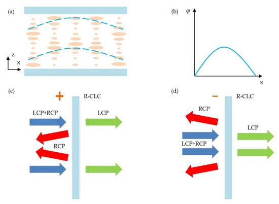 Twisting Structures in Liquid Crystal Polarization Gratings and Lenses