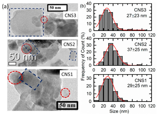 Calcite Nanocrystals Investigated Using X-ray Absorption Spectroscopy