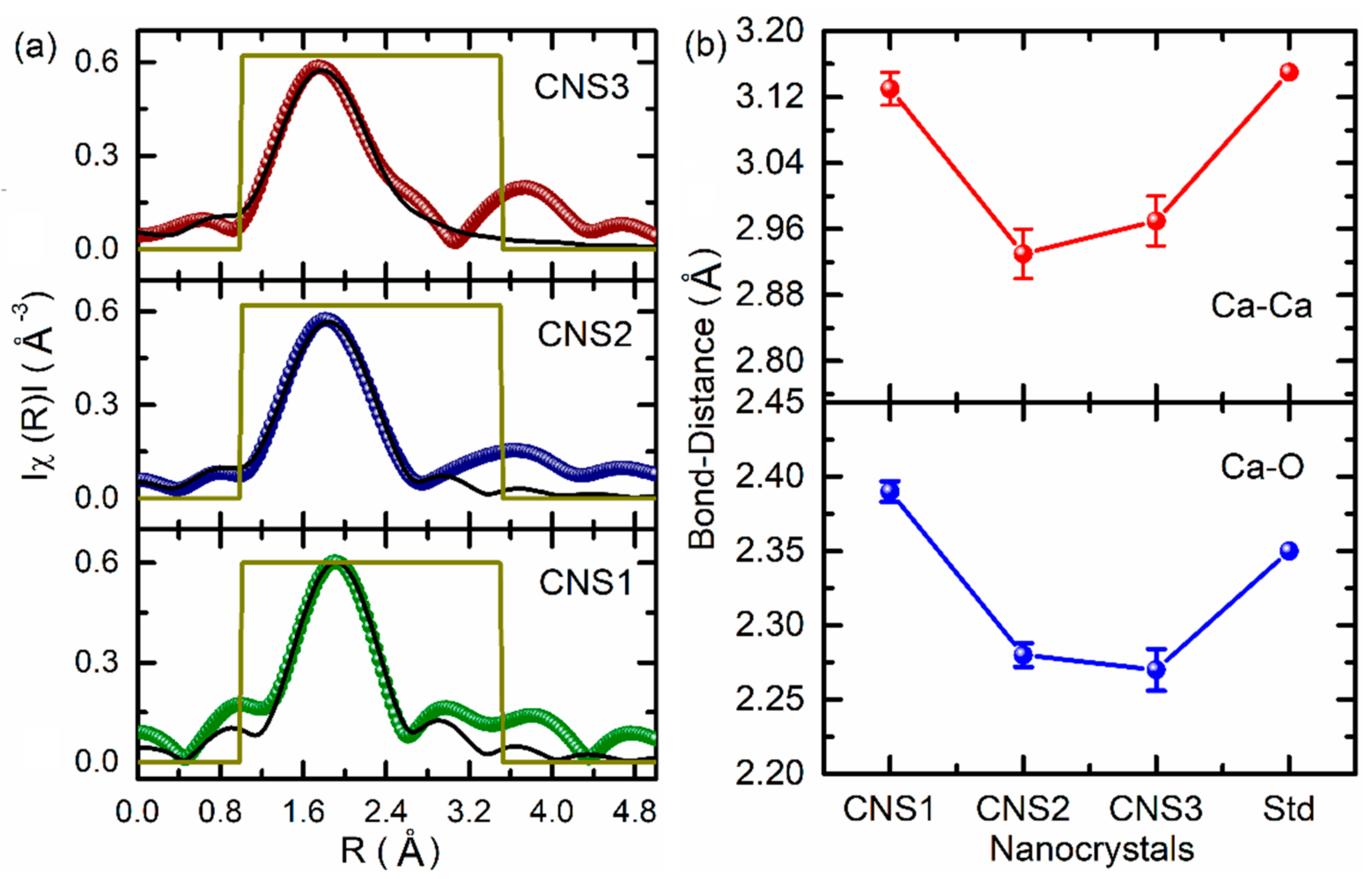 Calcite Nanocrystals Investigated Using X-ray Absorption Spectroscopy