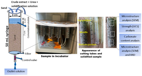 Bio-Mediated Soil Improvement Using Plant Derived Enzyme in Addition to ...