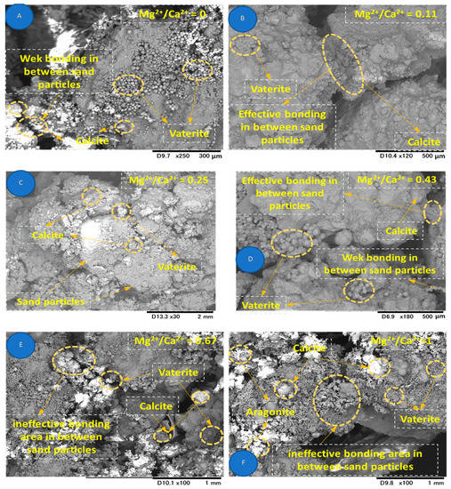 Bio-Mediated Soil Improvement Using Plant Derived Enzyme in Addition to ...