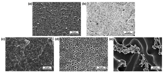 The Electro-Optical Properties and Adhesion Strength of Epoxy ...