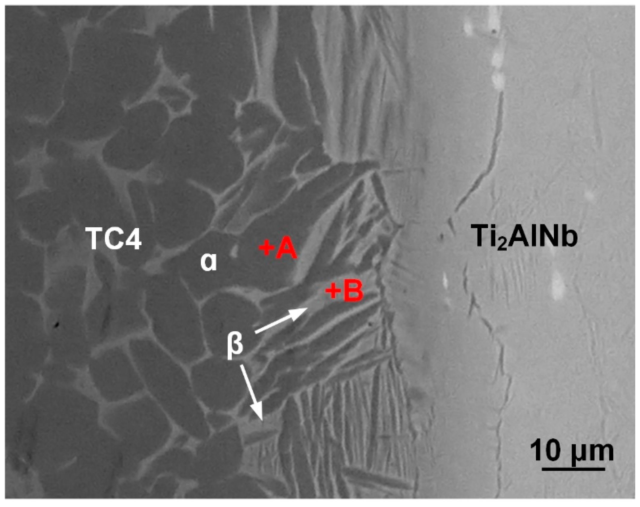 Microstructure and Mechanical Properties of Vacuum Diffusion Bonded Ti2AlNb/Ti/TC4 Joint