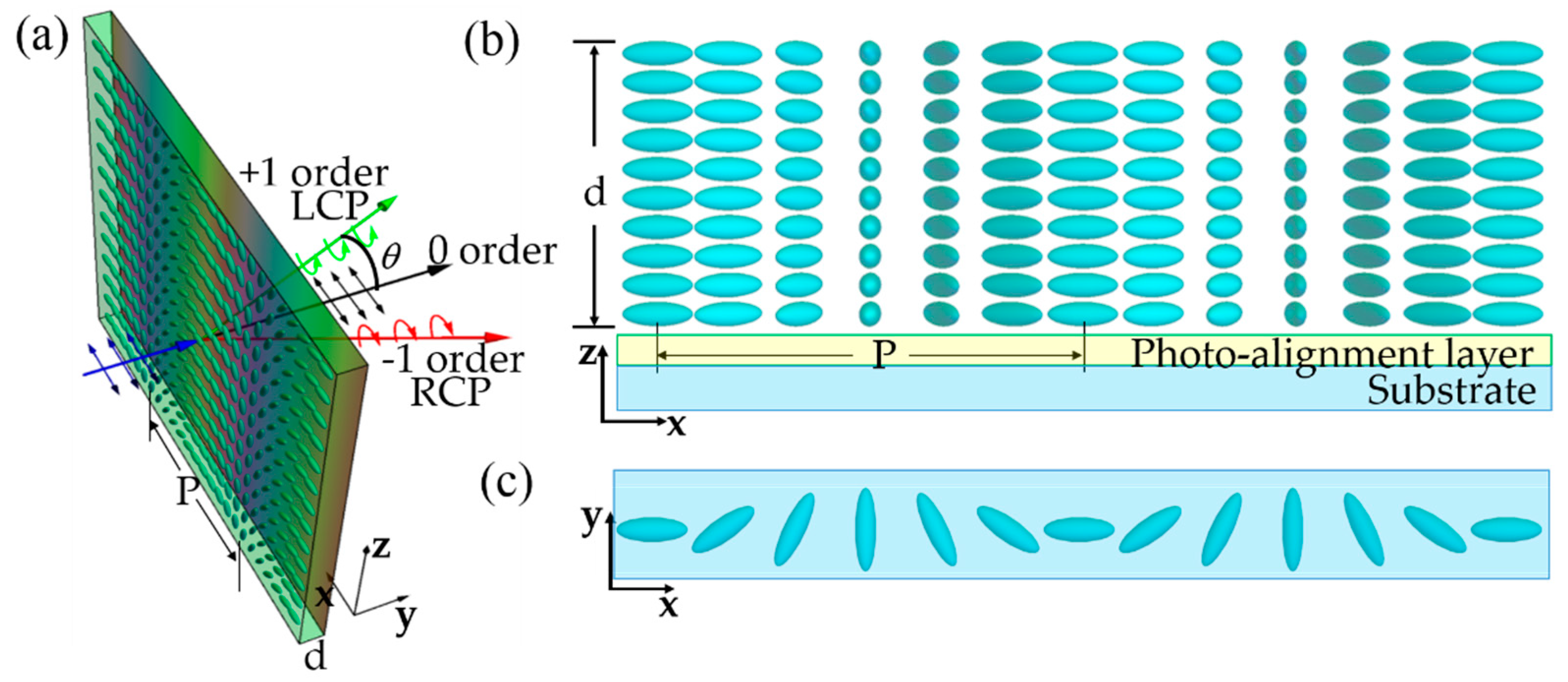 Recent Advances in Photoalignment Liquid Crystal Polarization Gratings and Their Applications
