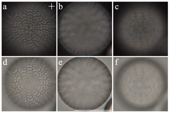 Topological Defect-Guided Regular Stacking of Focal Conic Domains in ...