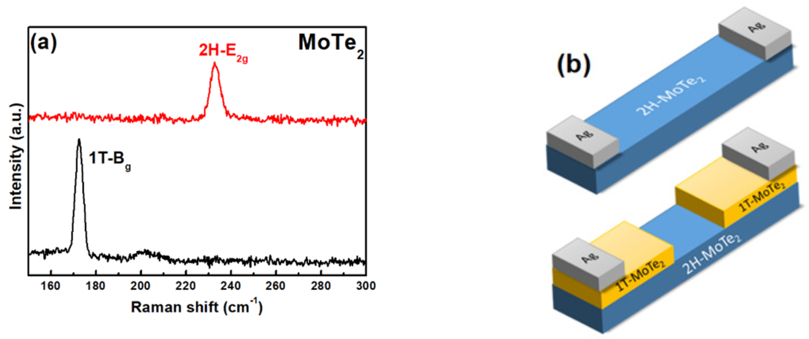 Enhanced Photoresponsivity of 2H-MoTe2 by Inserting 1T-MoTe2 Interlayer ...