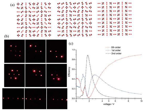 A Review of Two-Dimensional Liquid Crystal Polarization Gratings