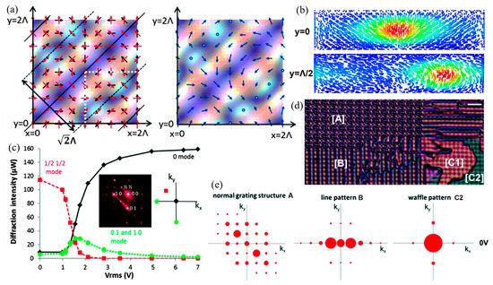 A Review of Two-Dimensional Liquid Crystal Polarization Gratings