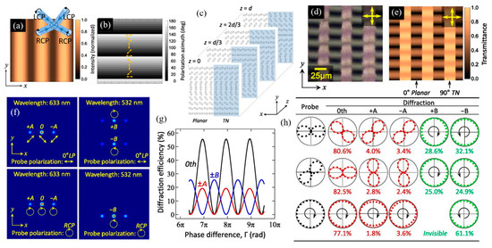 A Review of Two-Dimensional Liquid Crystal Polarization Gratings