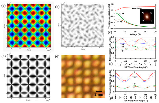 A Review of Two-Dimensional Liquid Crystal Polarization Gratings