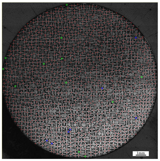 Automatic Identification and Quantitative Characterization of Primary ...