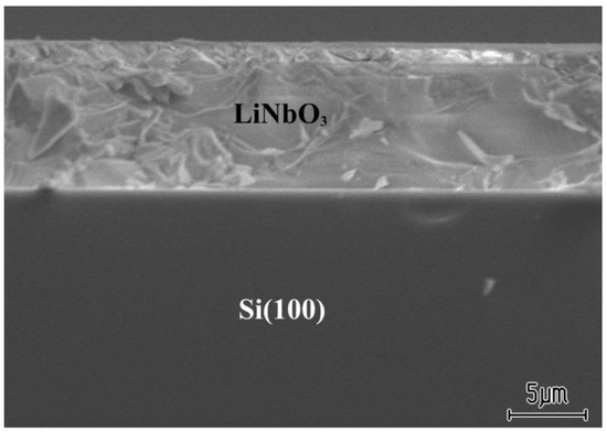 Scanning Electron Microscopy Investigation of Surface Acoustic Wave ...