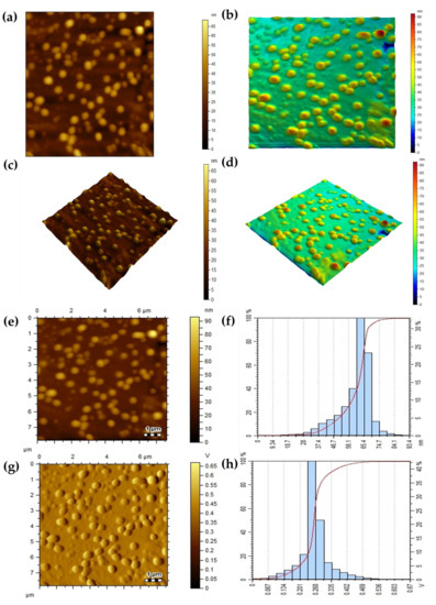 Crystals | Free Full-Text | Synthesis and Characterization of Antibacterial Carbopol/ZnO Hybrid ...