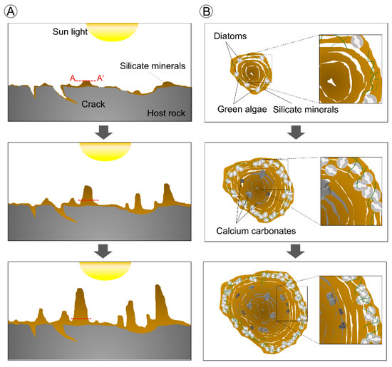 Calcium Carbonate Growth with the Ring Structure of Stalactite-Type ...
