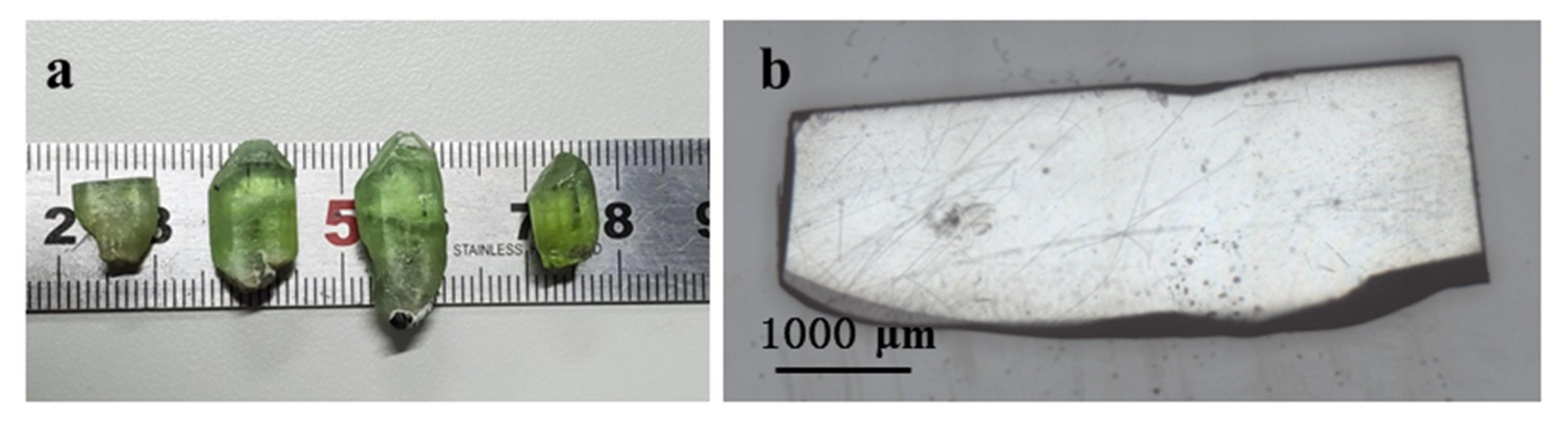 In-Situ Infrared Spectra of OH in Pakistan Forsterite at High Temperature