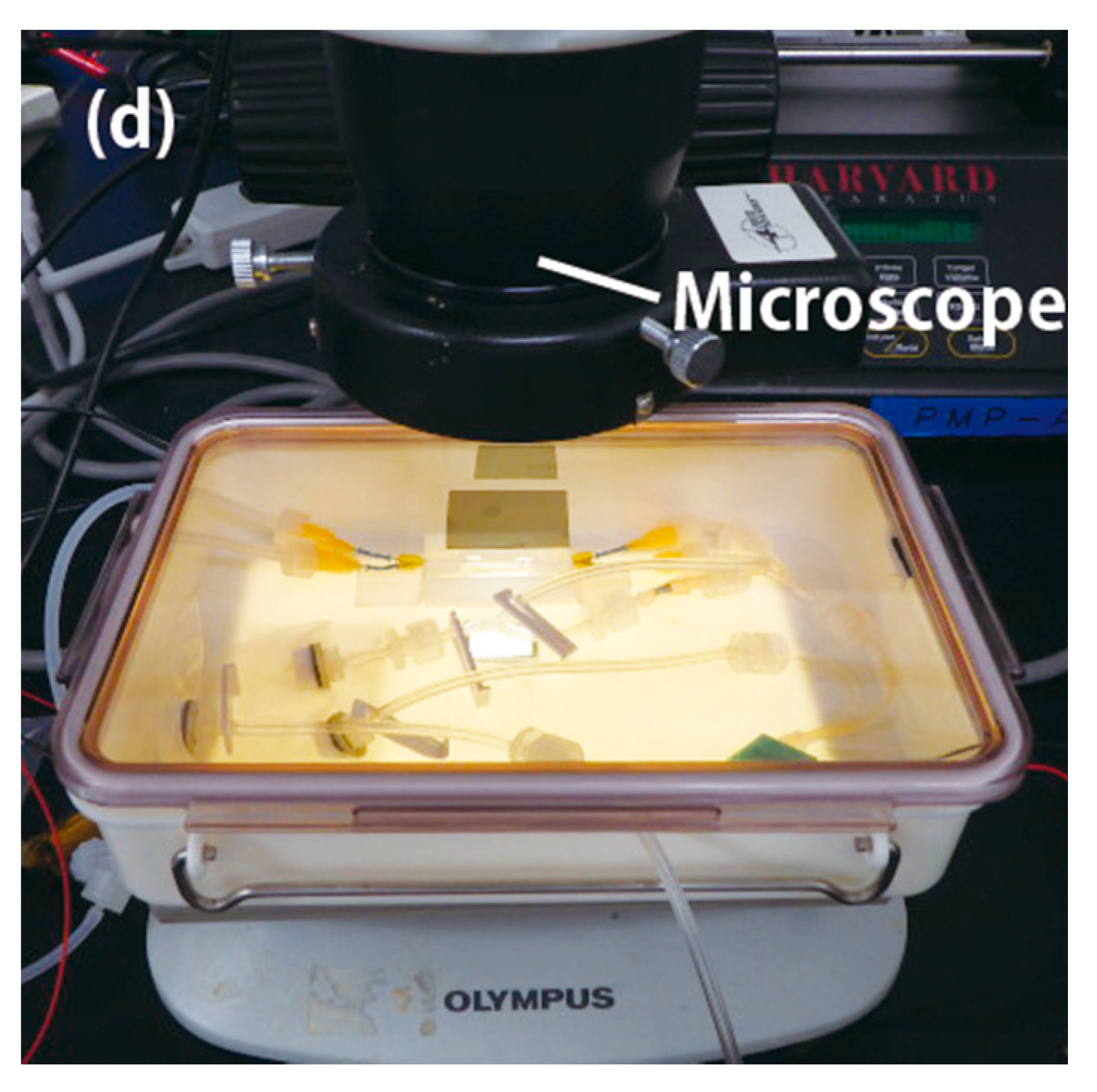 Novel Device and Strategy for Growing Large, High-Quality Protein ...