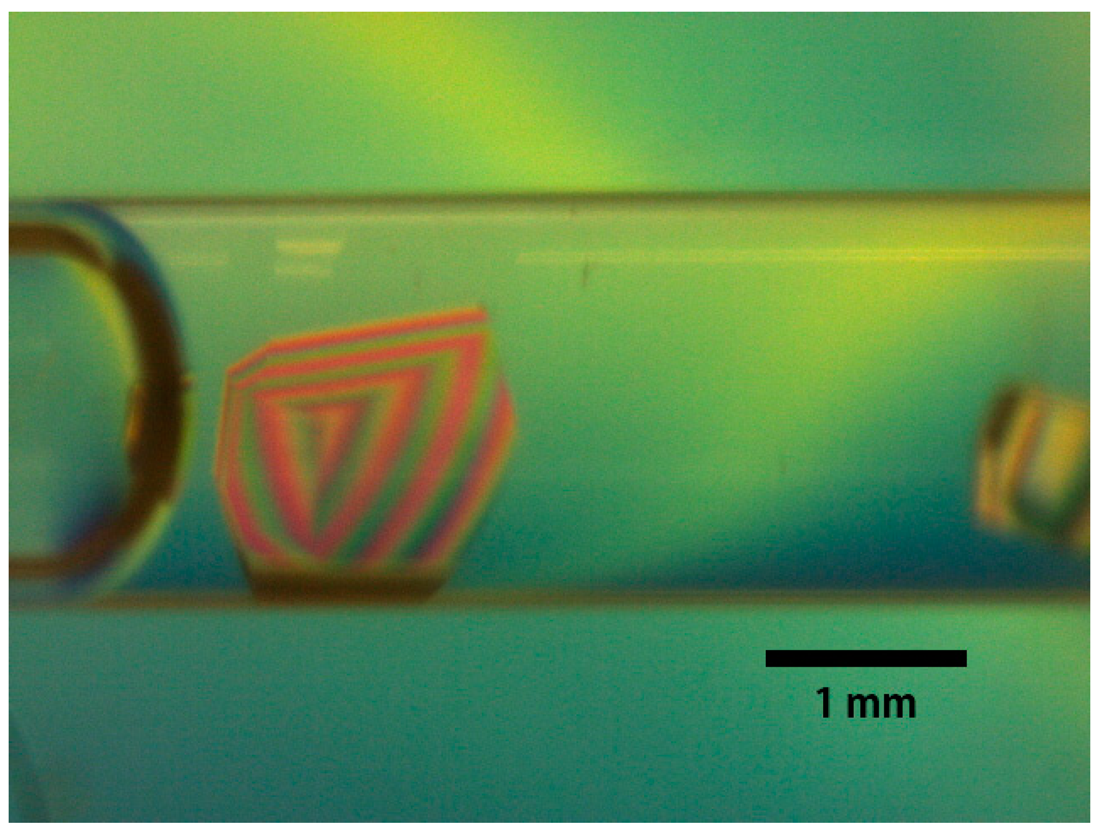 Novel Device and Strategy for Growing Large, High-Quality Protein ...