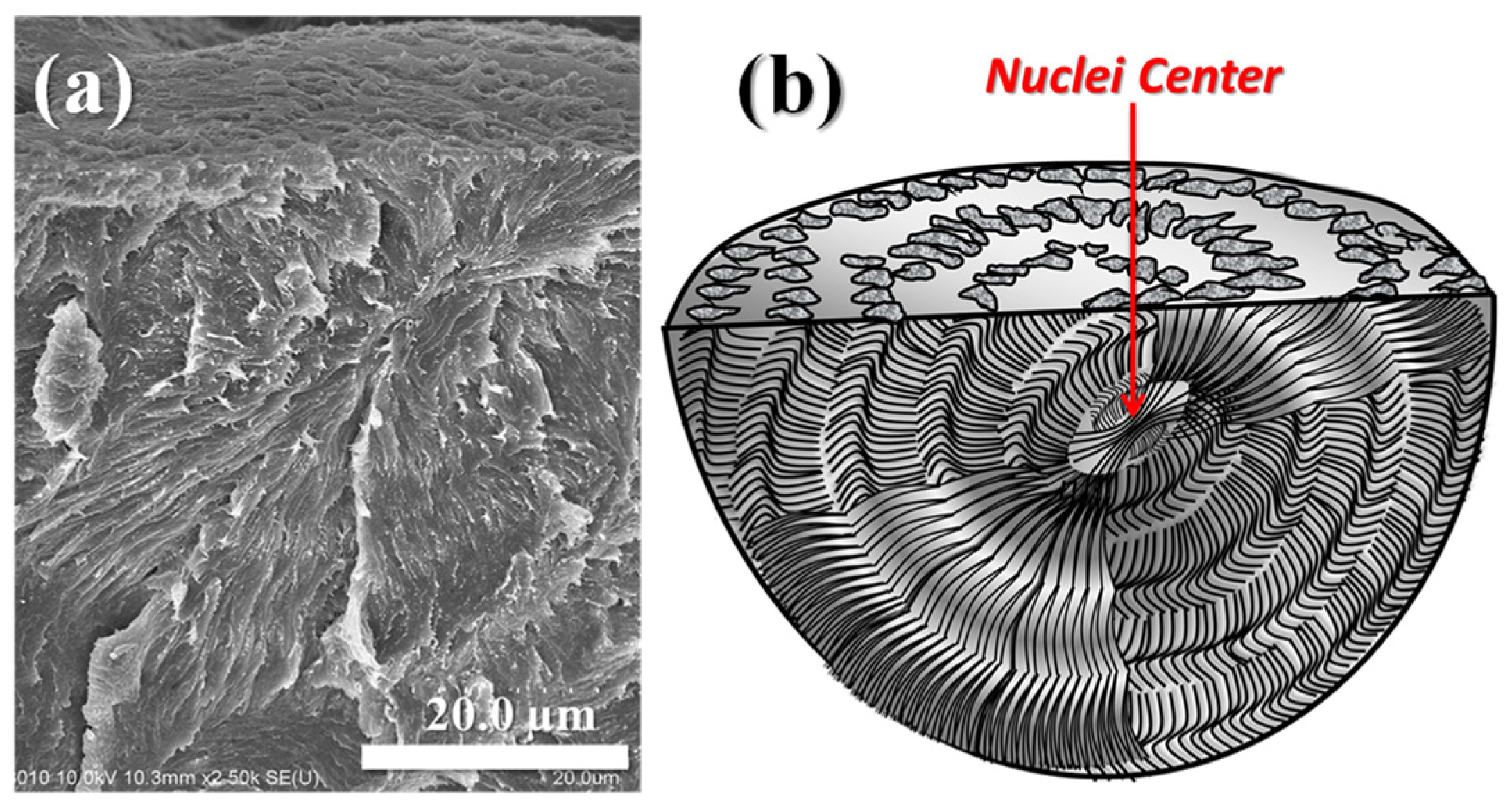 In-Situ Growth of Nucleus Geometry to Dual Types of Periodically Ringed ...