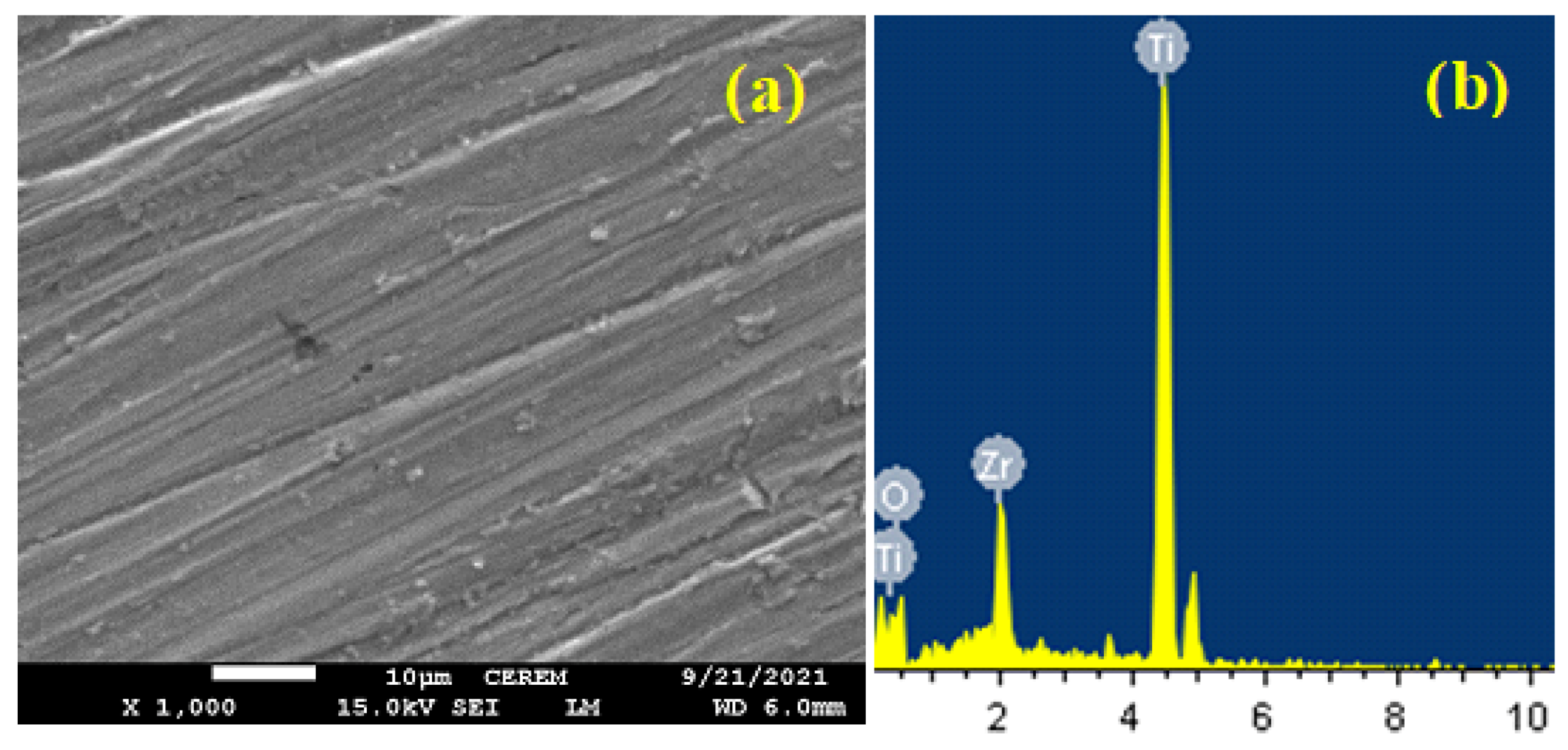 Influence of Zirconium on the Corrosion Passivation of Titanium in ...