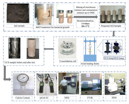 Critical Review of Solidification of Sandy Soil by Microbially Induced ...