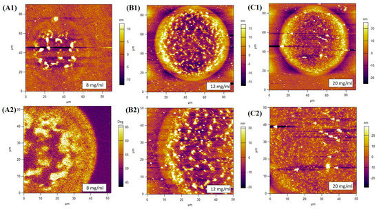 Polymer Crystallization