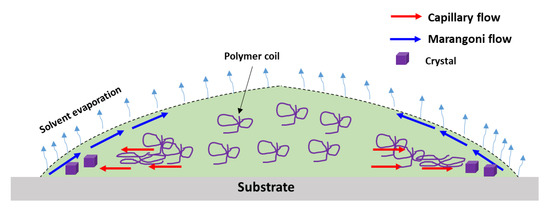 Polymer Crystallization