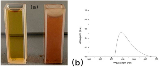 Iron Concentrate Particles