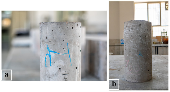 Crystals | Free Full-Text | Use of Bacteria Externally for Repairing ...