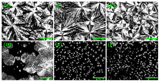 Polymer Crystallization