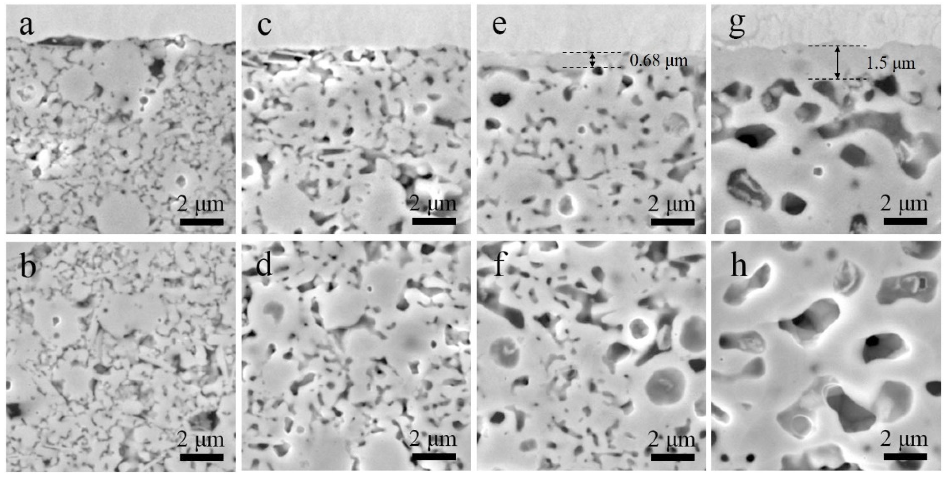 Microstructure of Ag Nano Paste Joint and Its Influence on Reliability