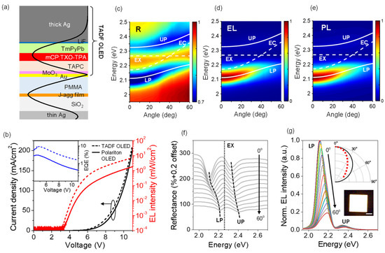 Snapshot Angle-Resolved Spectroscopy and Its Application for Study of ...