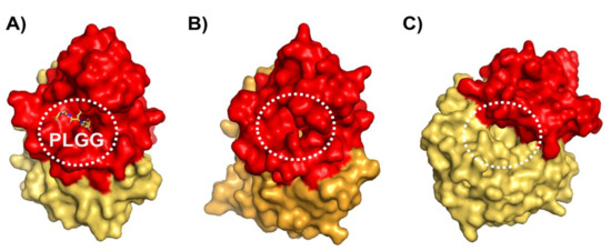 A New L-Proline Amide Hydrolase with Potential Application within the ...