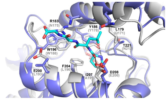 A New L-Proline Amide Hydrolase with Potential Application within the ...